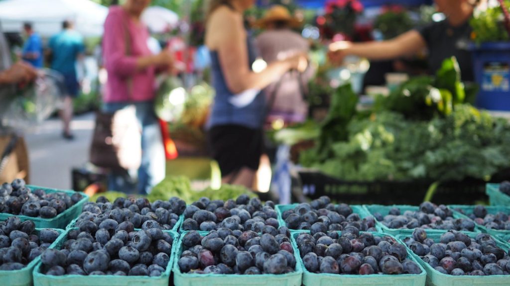 ASAP's Farm to School Program - Growing Minds
